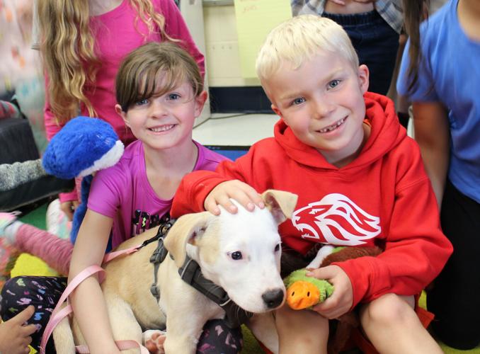 Puppy Love: Central Elementary raises $11,798 to benefit Hotel for ...