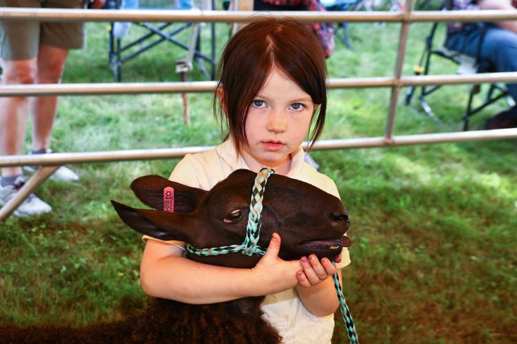 Foster and Glocester got business done in 2024 | News | valleybreeze.com