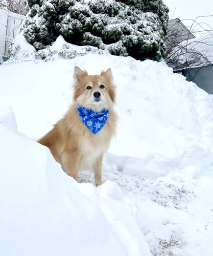 Easy walk | News | valleybreeze.com