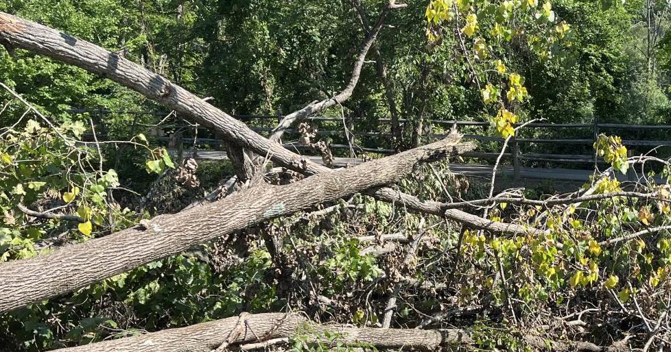Flood threat looms as tornado-toppled trees stuck in canal | News ...