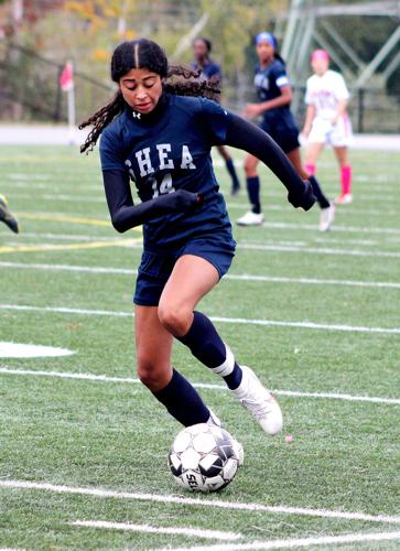Shea girls' soccer team blanks Tolman to clinch D-III playoff berth ...