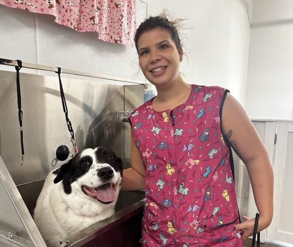 Lima opens Lincoln pet spa | News | valleybreeze.com