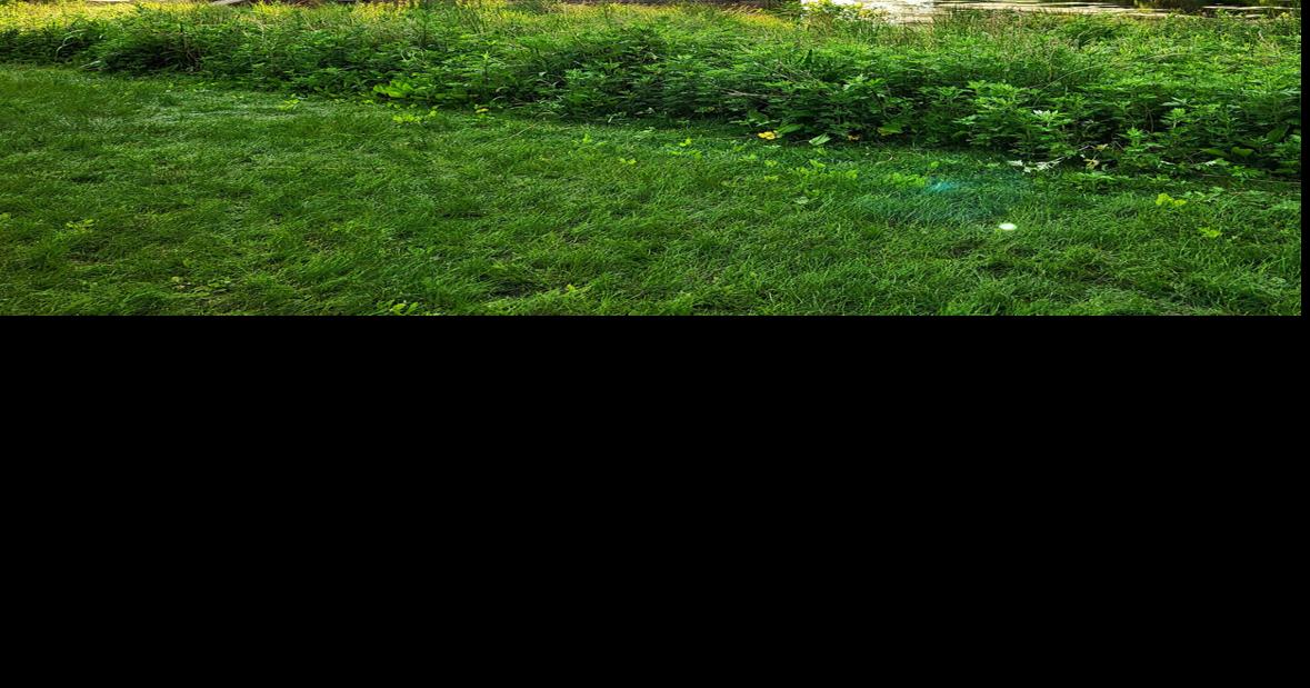 Slater Memorial Park | | valleybreeze.com