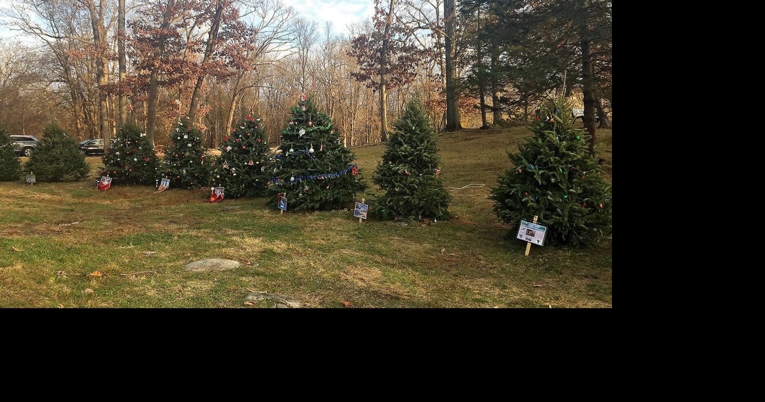 Memorial Christmas Trees at the Monastery | | valleybreeze.com