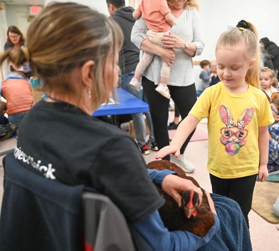Project Chick pecks in to Greenville Library | Multimedia ...