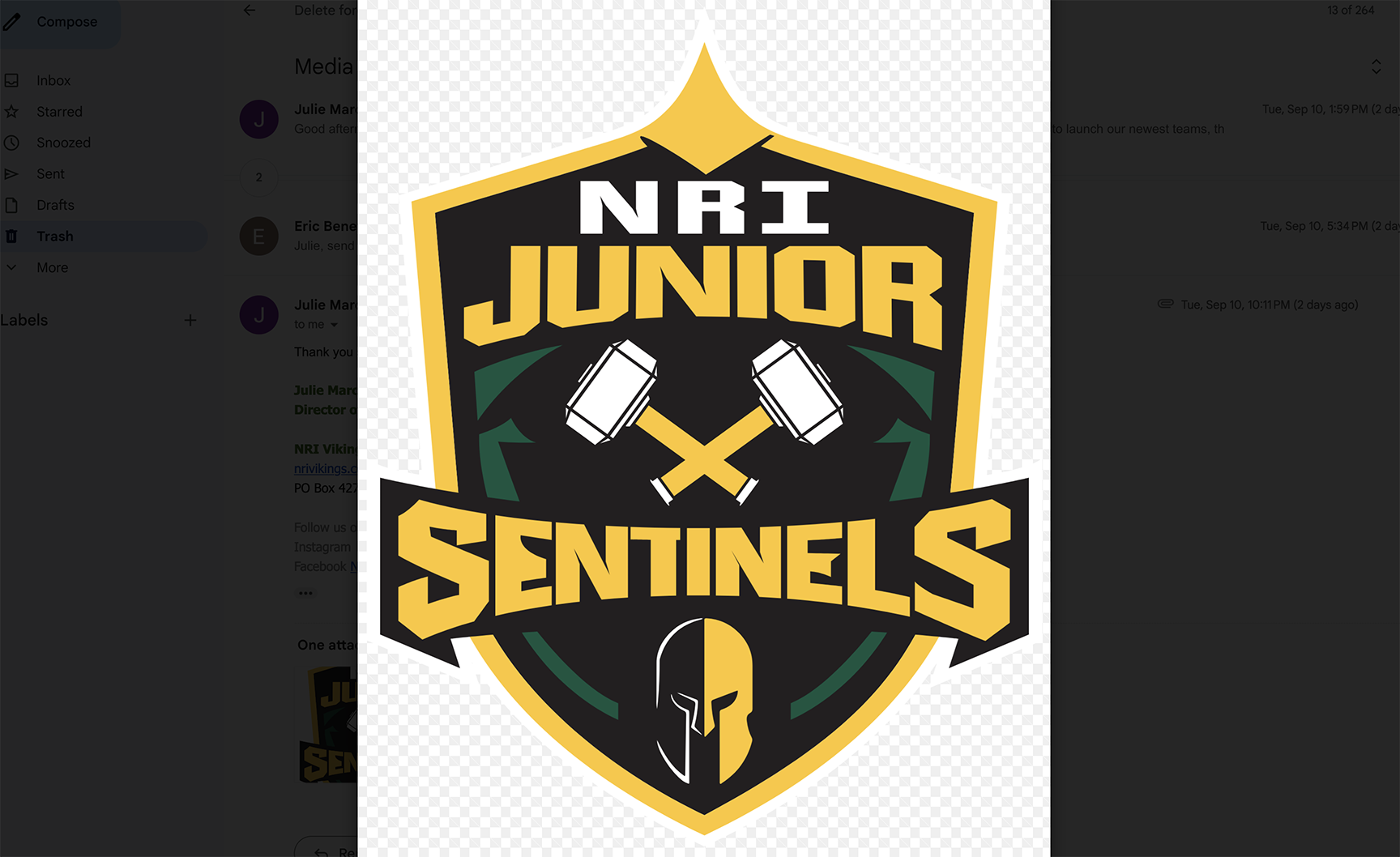 NRI Vikings Youth Hockey Association joins Premier Hockey League ...