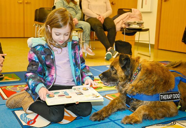 Teddy the Therapy Dog visits the North Scituate Library ...