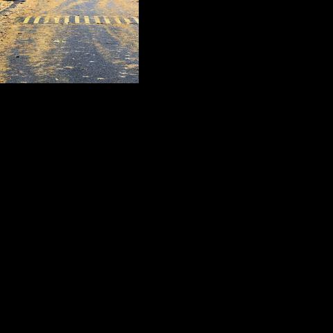 Traffic humps significantly slow speeds on one of two roads | News ...