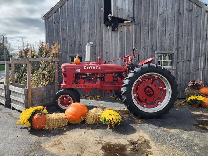 Appleland Orchards opens for fall season | News | valleybreeze.com