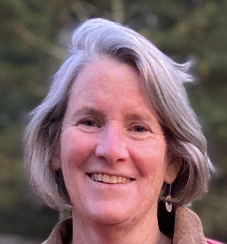 Foster candidates fight for a seat on the Town Council | News ...