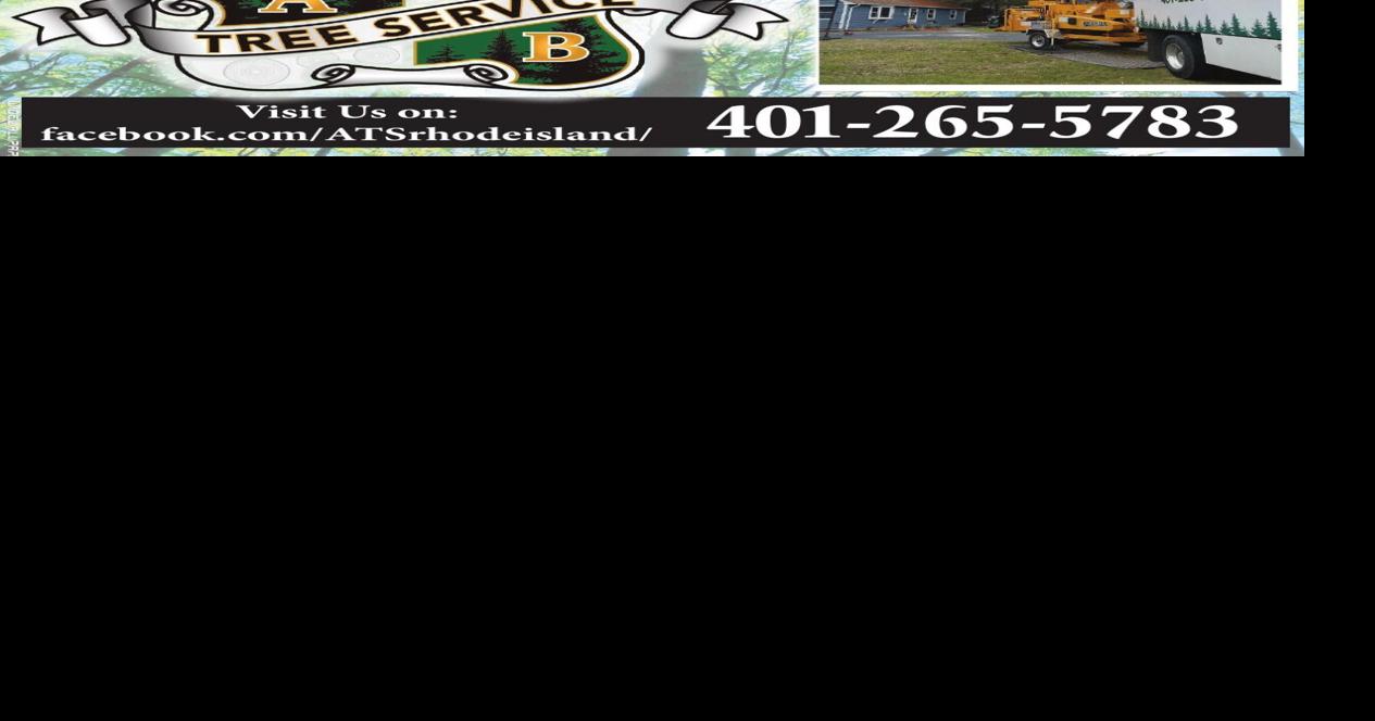 Alan Tree 2.3.24 Reveal Landing Page | | valleybreeze.com