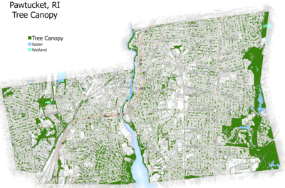 Plenty of room for more trees to be planted in Pawtucket | News ...