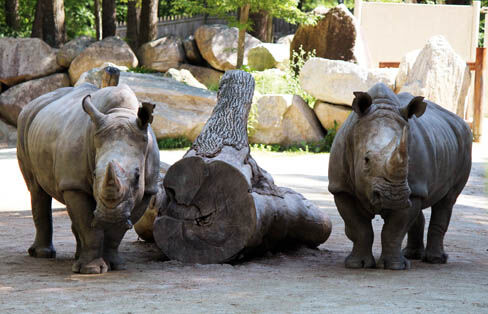 Southwick's turns 50 | Living | valleybreeze.com