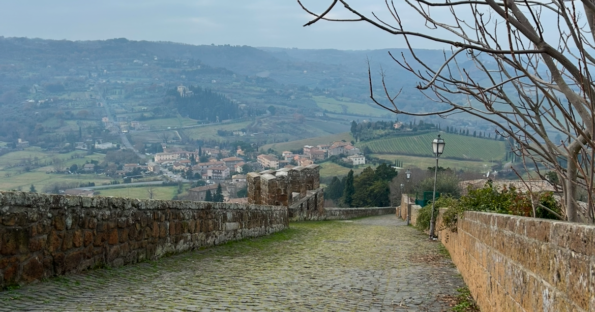 Observance is virtue: Relax, look around | Features | valpotorch.com