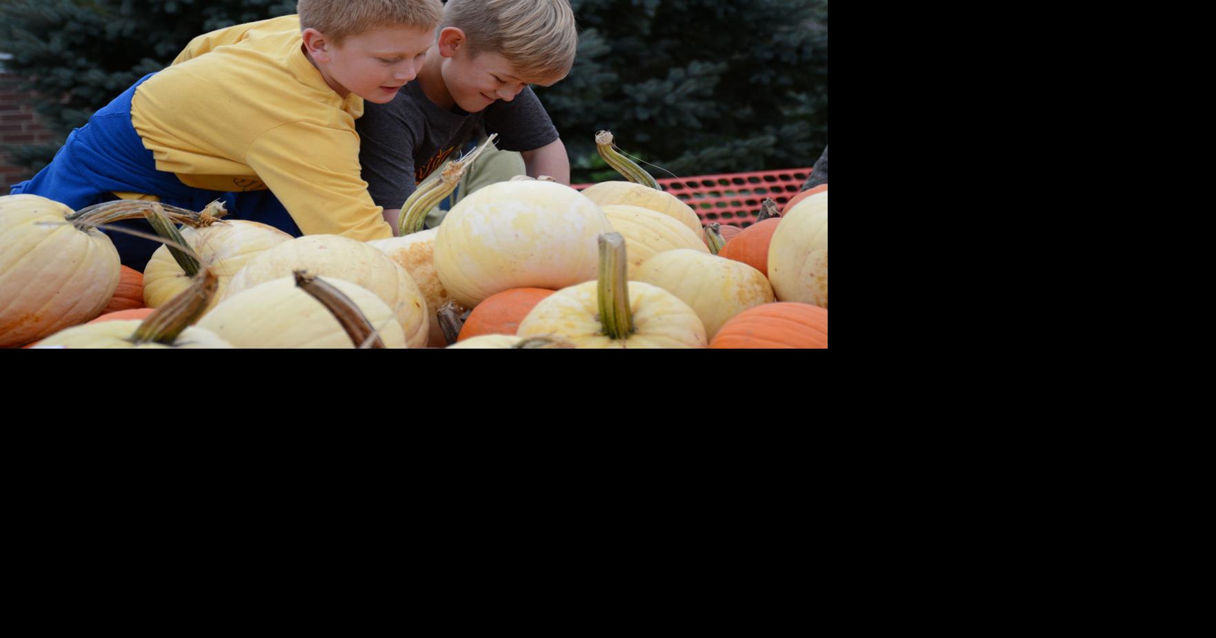 Fall Fest raffle tickets on sale now: Over 25 prizes valued at over ...