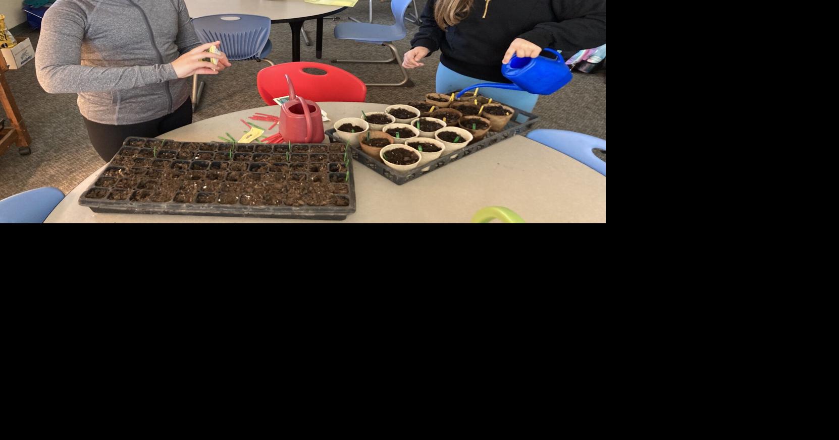 Meet VASD’s 2024 grant recipients | Local News | veronapress.com
