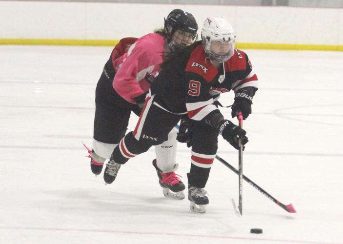 Girls hockey: Metro Lynx sweep Stoughton Icebergs | Sports ...