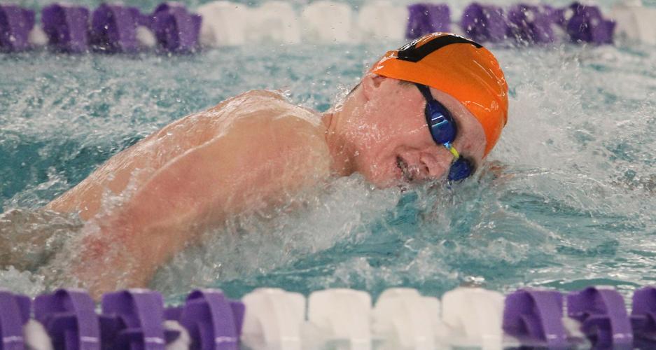 Boys swimming: Verona Area/Mount Horeb takes fifth in Big Eight ...