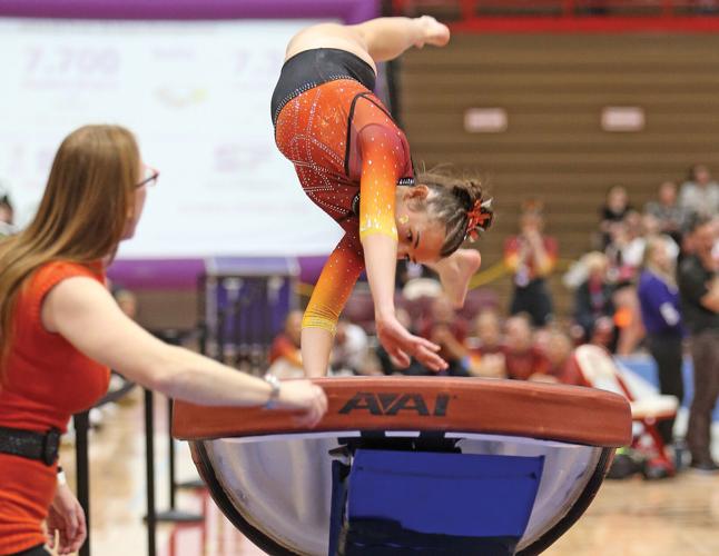 Verona/Edgewood places third at state meet | Sports | veronapress.com