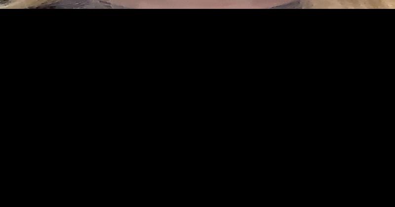 Volleyball: Armstrong commits to Penn | Sports | veronapress.com