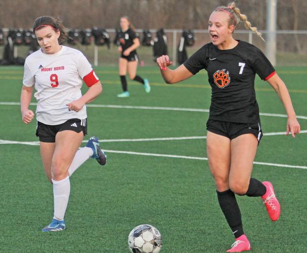 Photos: Verona vs. Mount Horeb | | veronapress.com