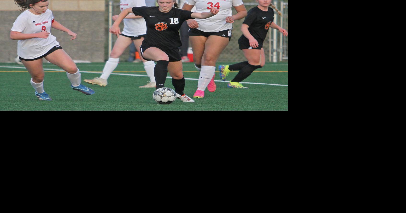 Girls soccer: Verona’s Noelle Rauwolf nets four goals against Waukesha ...