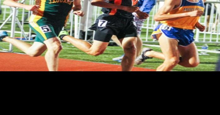 Track and field: Nameth races to second at state | Sports | veronapress.com