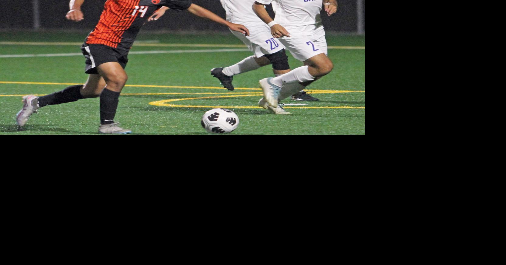 Boys soccer: Marcelo Chavez, Jonah Lander lead Verona past Craig ...