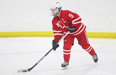 Girls hockey: Madison Metro Lynx trio named to all-state teams | Sports ...