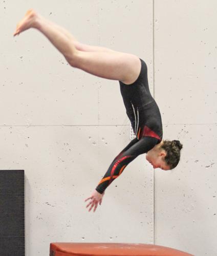 Gymnastics: Verona/Edgewood claims Cardinal Invitational title | Sports ...