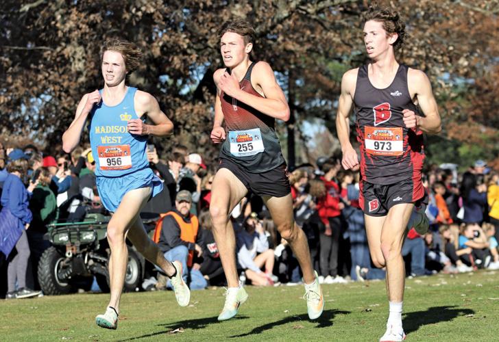 Cross country: Blake Oleson leads Verona runners at state meet with ...