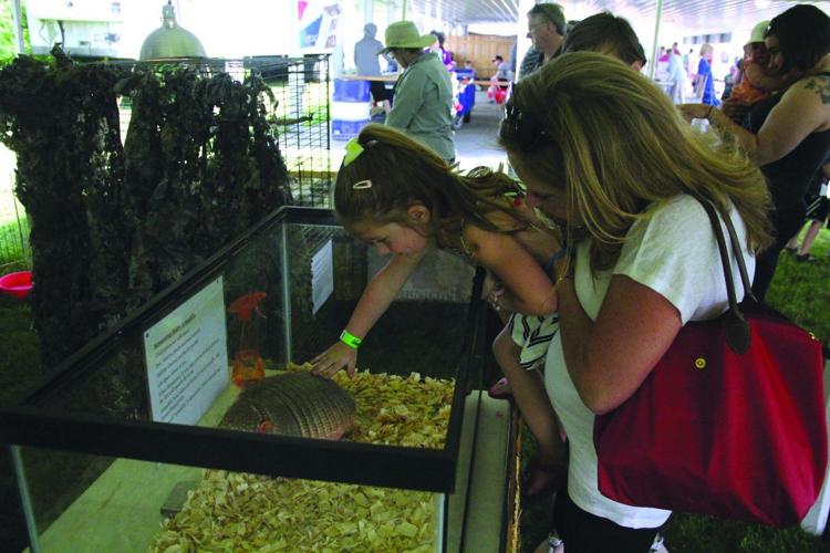 Hometown Days: Kids Activities | Archives | veronapress.com