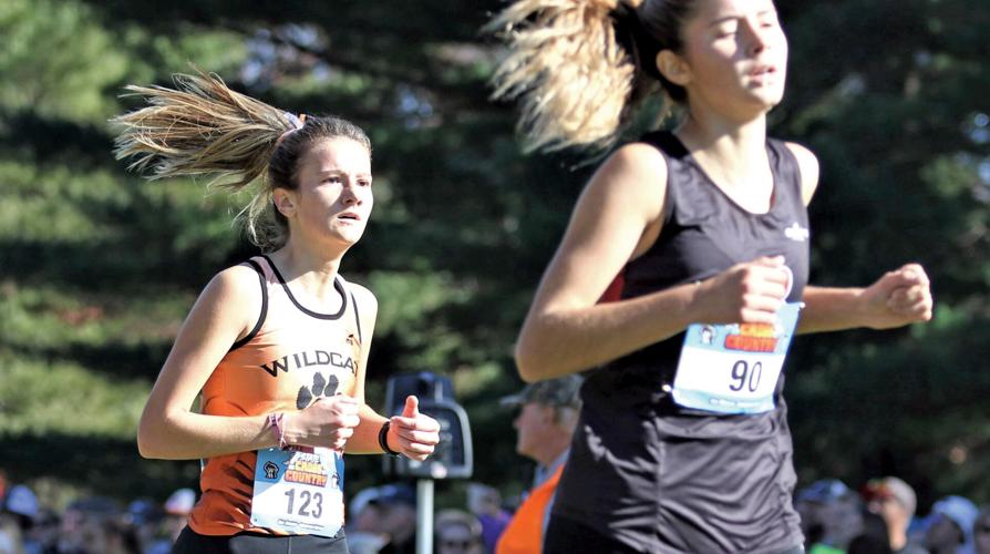 Cross country: Blake Oleson leads Verona runners at state meet with ...