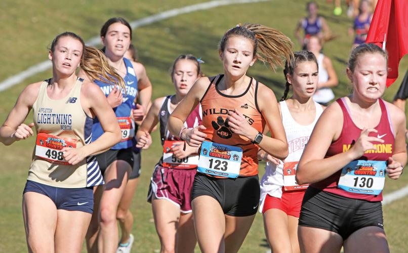 Cross country: Blake Oleson leads Verona runners at state meet with ...