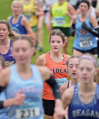 Girls cross country: Verona’s Lexi Remiker runs lifetime-best, races to ...
