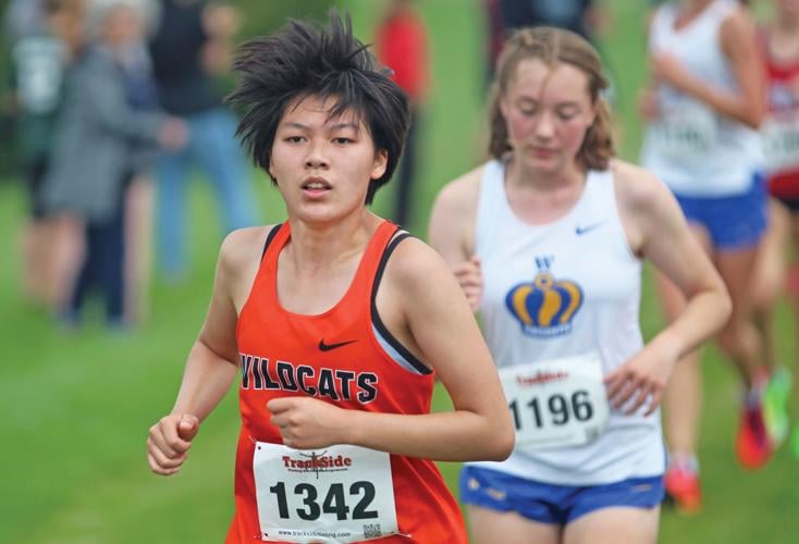 Girls cross country: Lexi Remiker, Liz den Daas push Verona to second ...