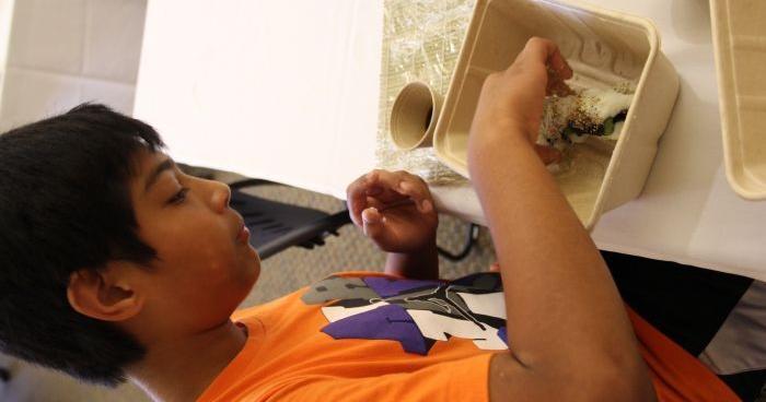 Sushi class at VPL | Community | veronapress.com