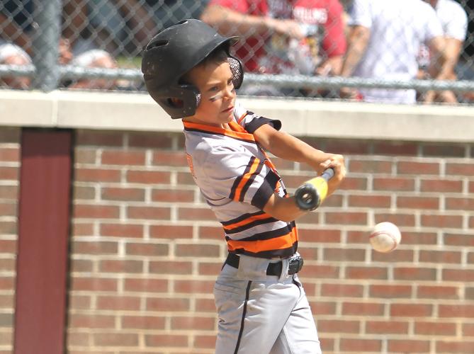 Little League: Verona | Sports | veronapress.com
