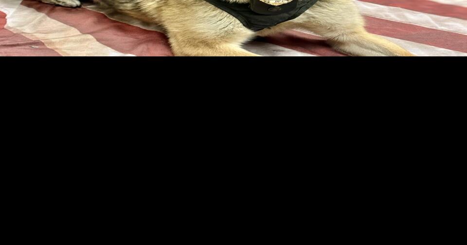 K9 Fundraiser | | veronapress.com