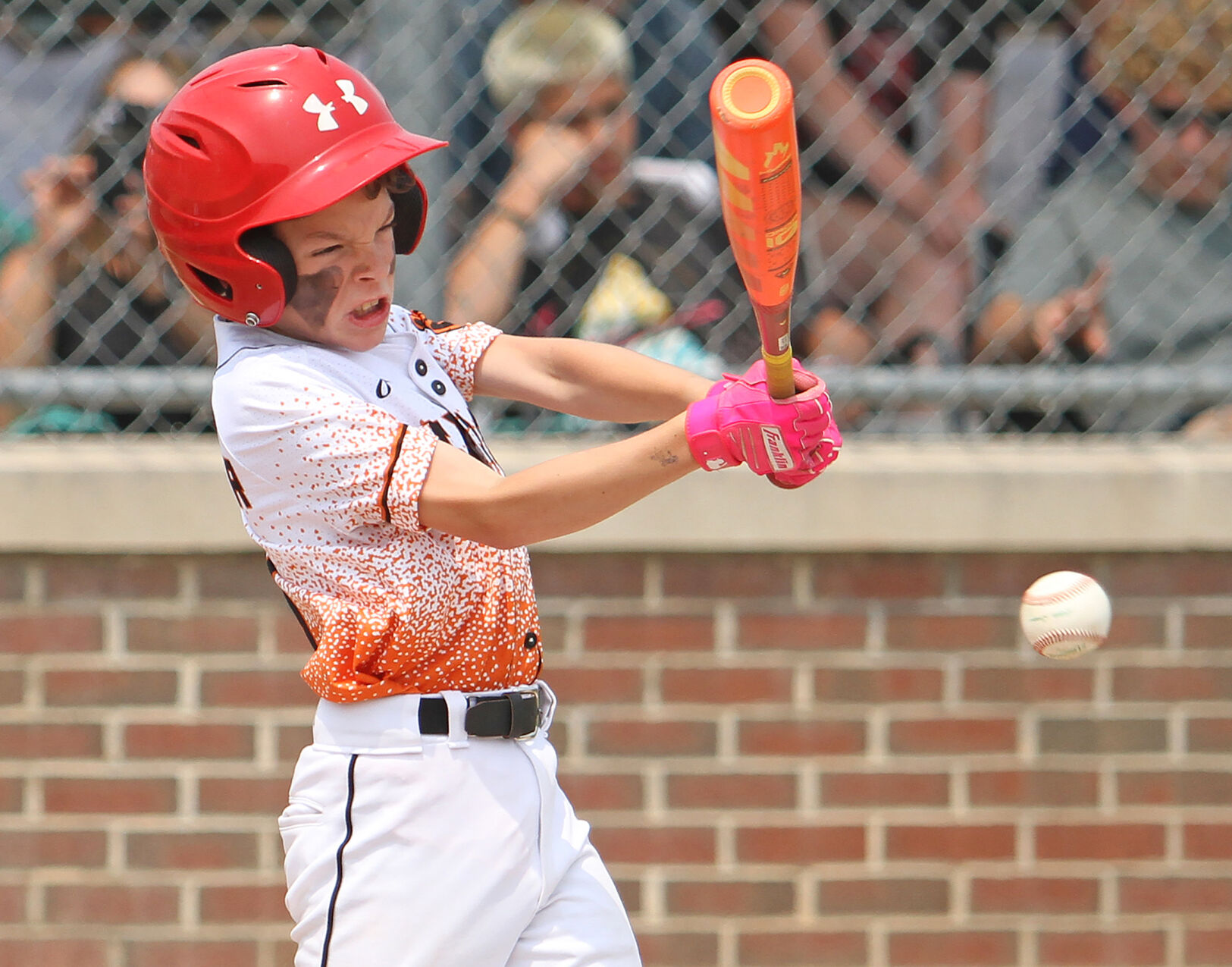 Little League: Verona White 8U Baseball Team Goes Undefeated - BVM Sports