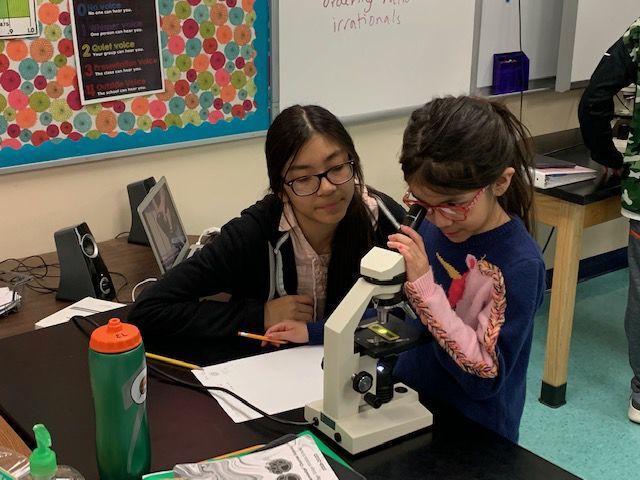 CKCS seventh graders mentor peers | Schools | veronapress.com