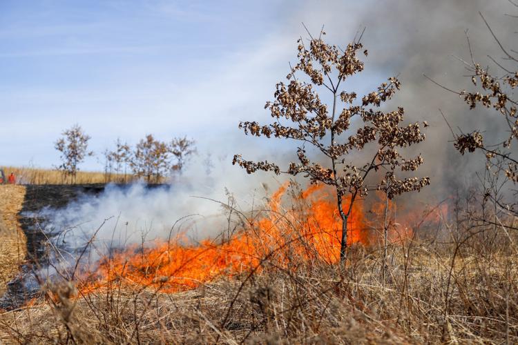 Dane County Parks burn Ice Age Trail prairies | Local News ...