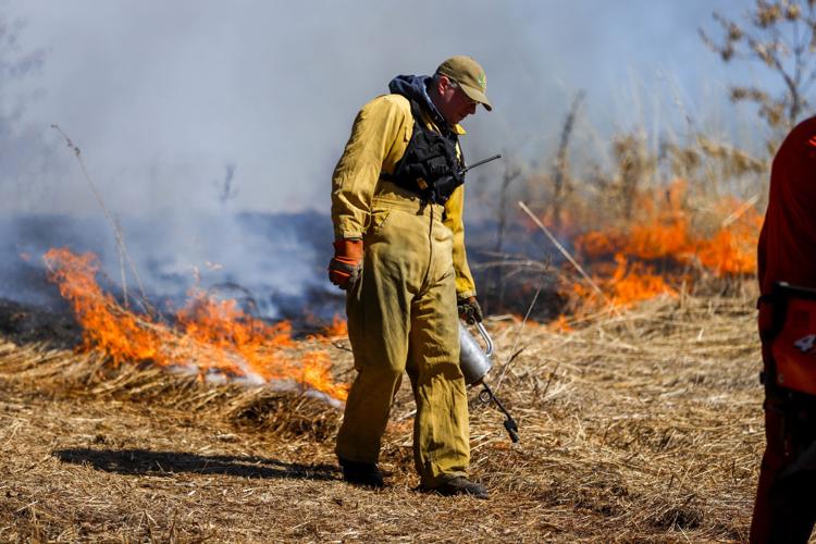 Dane County Parks burn Ice Age Trail prairies | Local News ...