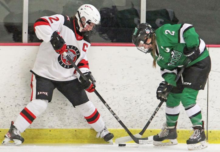 Girls hockey: Brita Lake scores twice, Madison falls to Rock County in ...