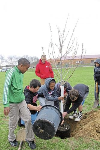 Badger Ridge building edible forest | Education | veronapress.com