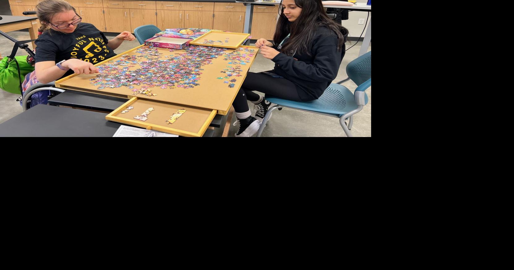 Meet VASD’s 2024 grant recipients | Local News | veronapress.com