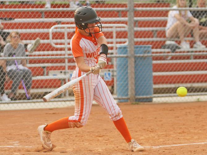 Softball: Hilary Blomberg's go-ahead homer, shutout lifts Verona past ...