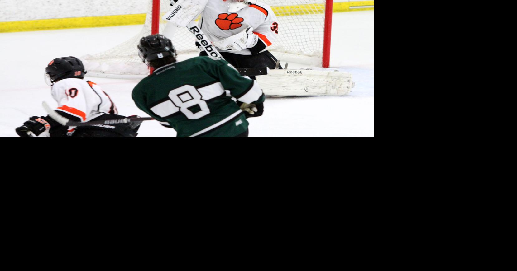 Boys hockey: Three players earn second-team All-Big Eight Conference ...