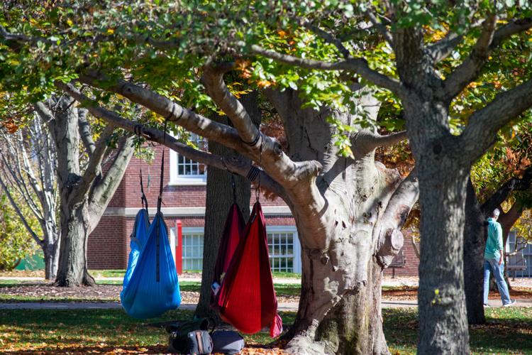 Gallery: Students enjoy sunny fall weather on Quad | Multimedia ...
