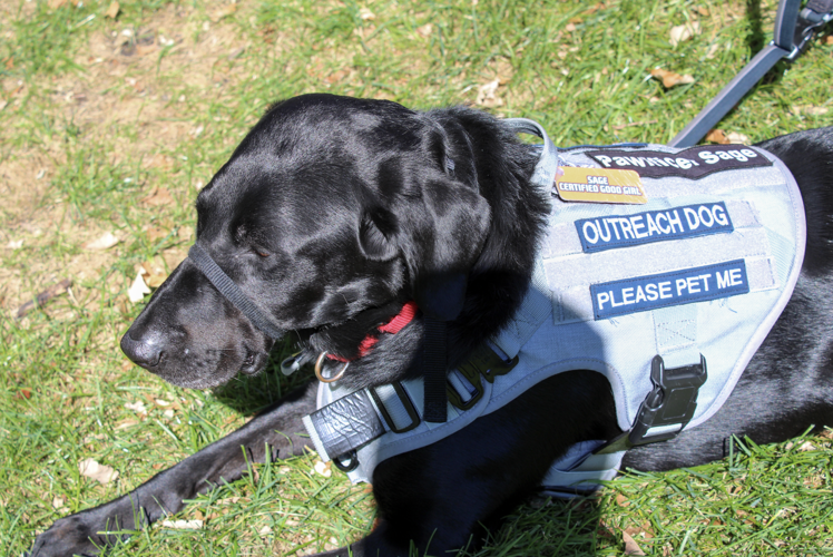 Gallery: Send Silence Packing creates an exhibit on the quad ...